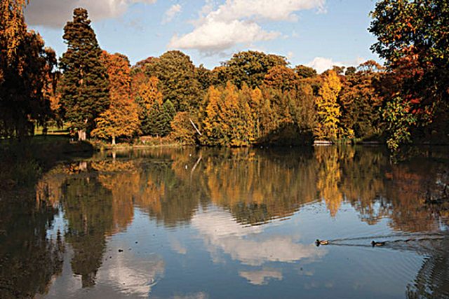 Gay Cruising Gay cruising in the woods - QX Magazine