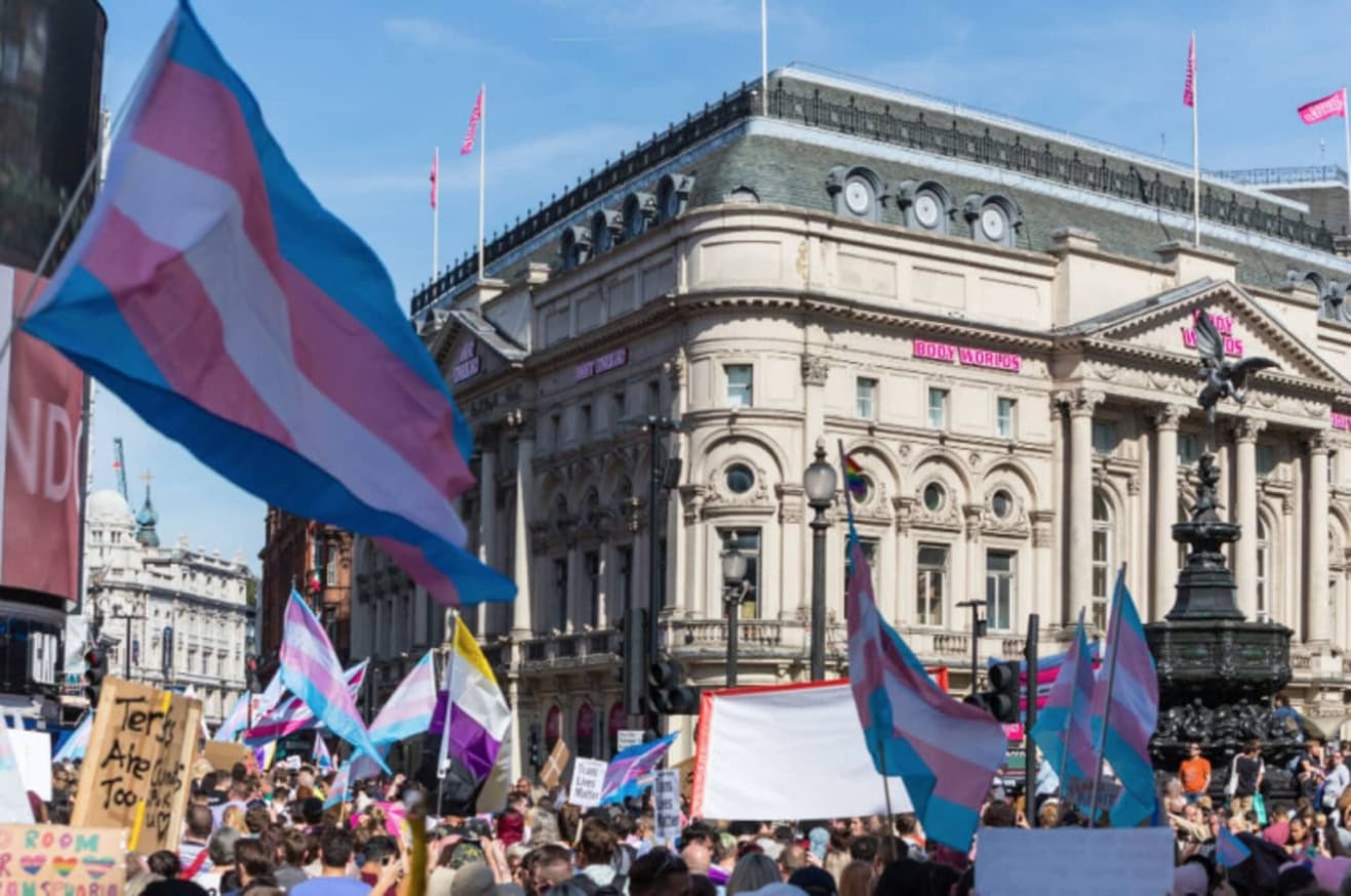 Trans rights are under attack. Email your MP today. - QX Magazine