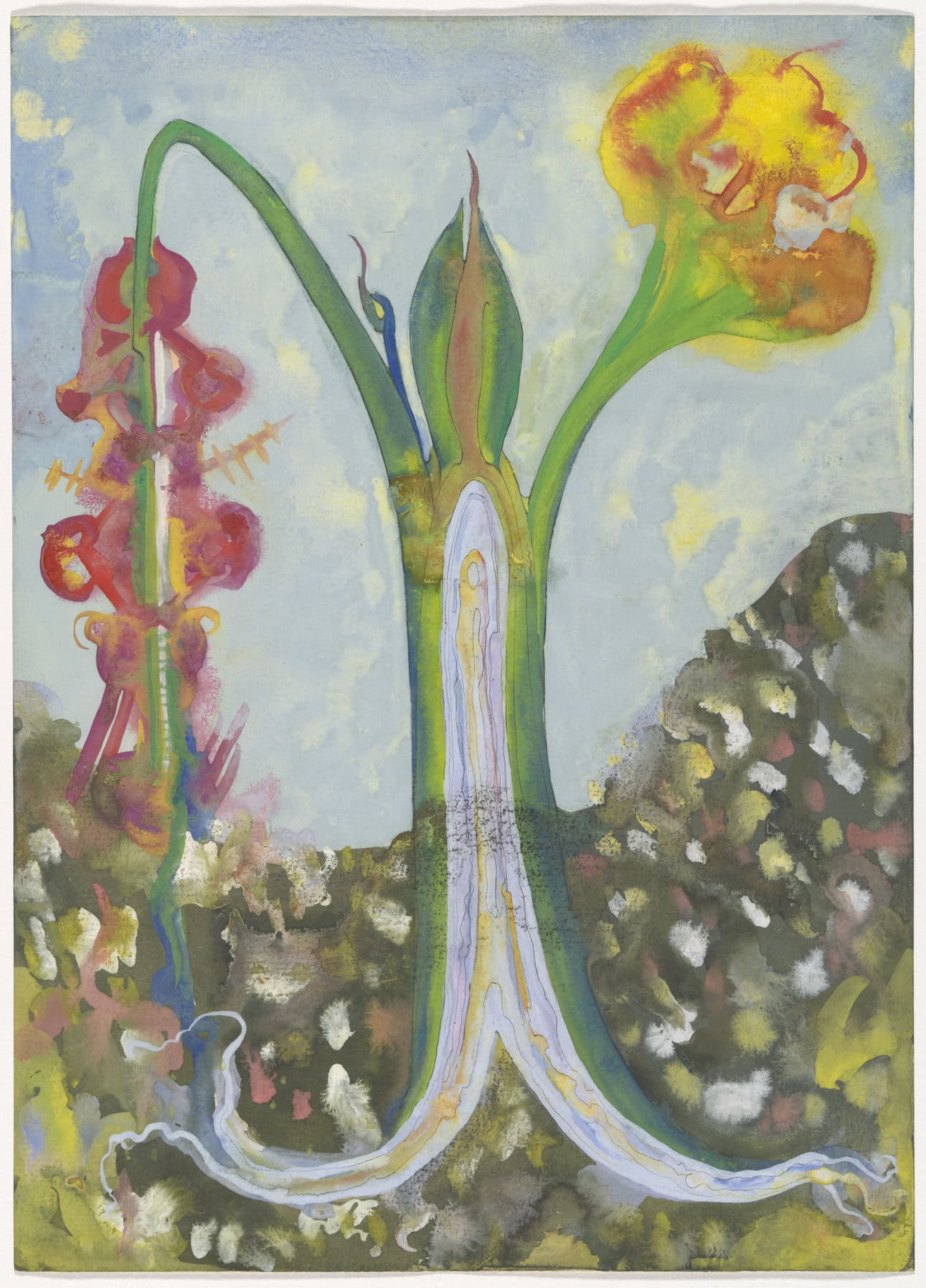 Ithell Colquhoun: Cornwall's trailblazing queer artist at Tate Britain ...